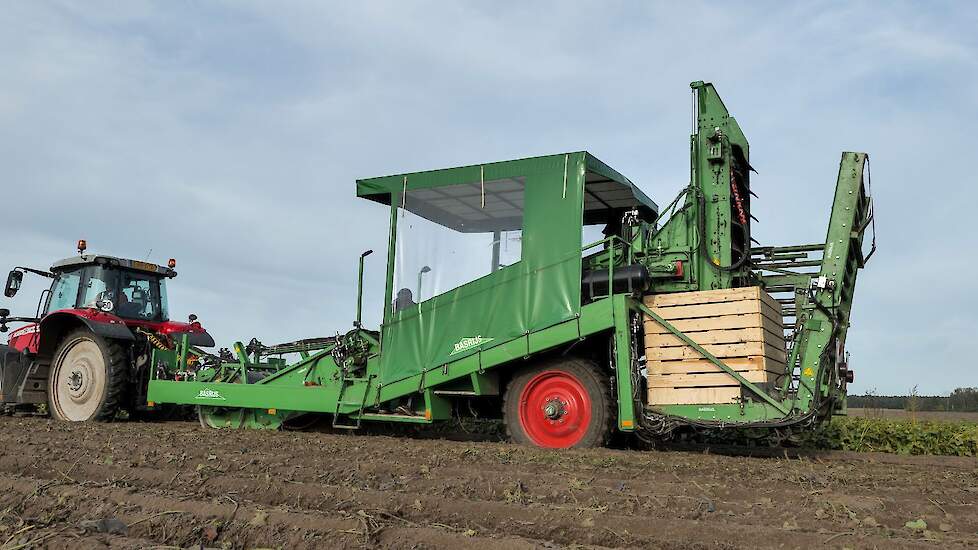 Video: Bataatteler laat rooier naar wens bouwen | Ekoland.nl - Nieuws ...