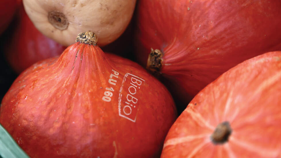 ‘Bio Top 40’ Productlijnen bio maken | Ekoland.nl - Nieuws en kennis ...