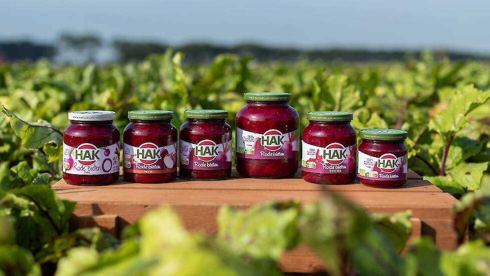 HAK trapt biologische ambitie af met rode bieten | Ekoland.nl - Nieuws ...