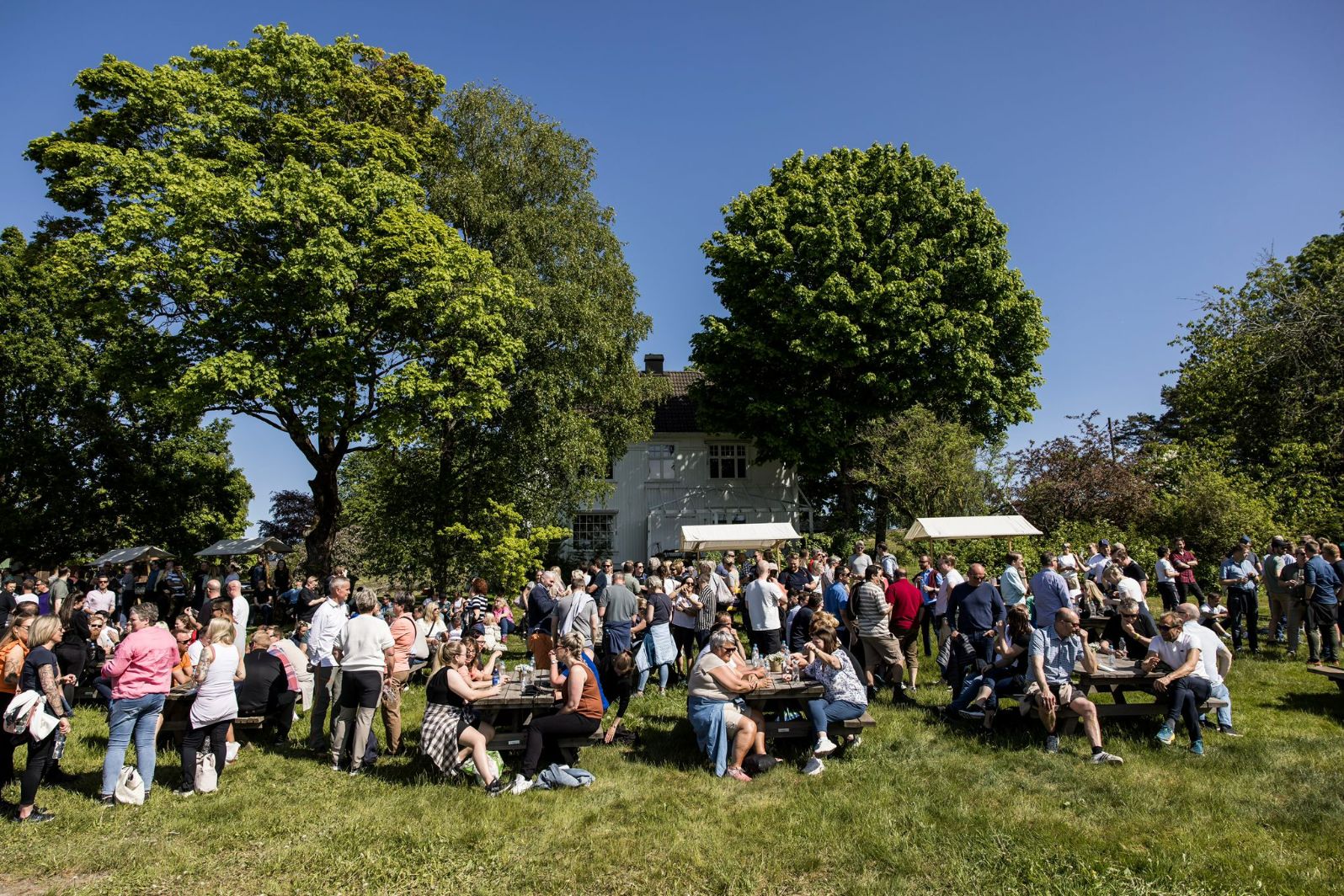 Afzet tafelaardappelen in Noorwegen tot kunst verheven | Ekoland.nl ...