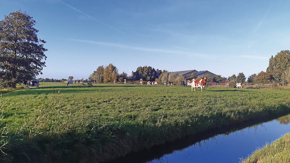 Bomen in een open landschap | Ekoland.nl - Nieuws en kennis voor de ...