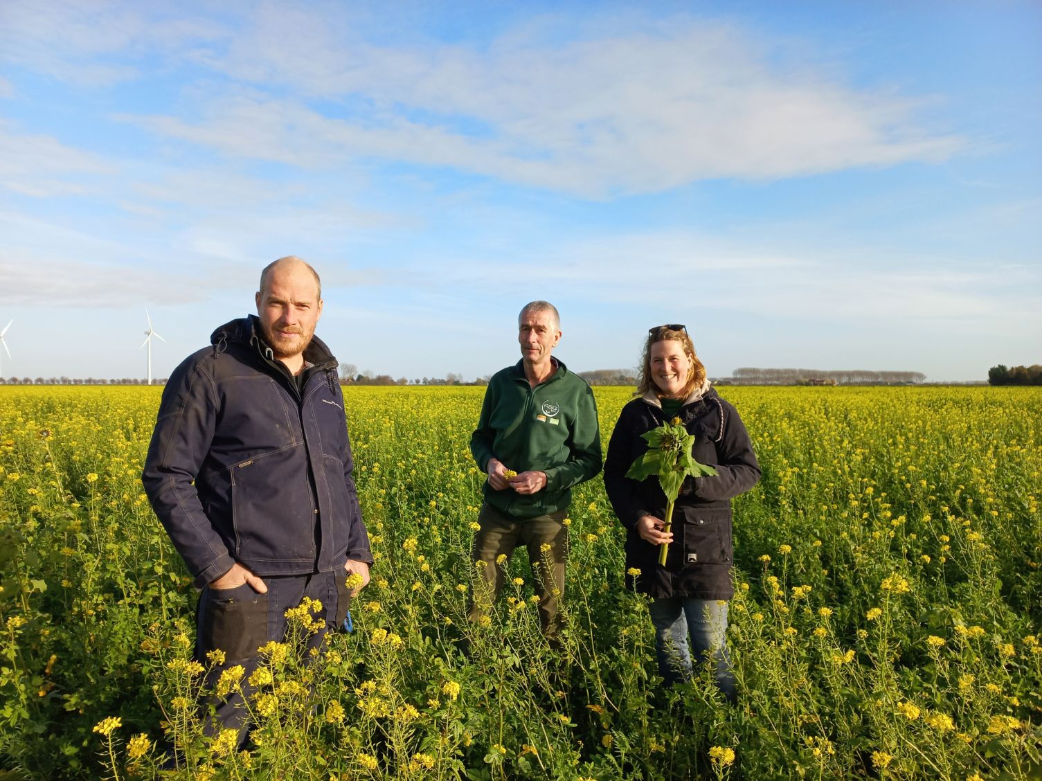 Halewijn De Smet: aardappelen vroeg verloren door Phytophthora, wortelen als alternatief ...