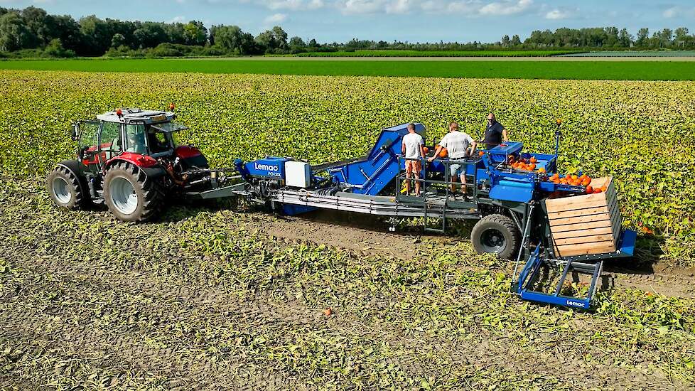 Video: Machinaal pompoenen oogsten biedt kansen | Ekoland.nl - Nieuws en kennis voor de ...