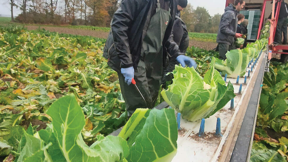 Eko-boerderij De Eerste | Ekoland.nl - Nieuws en kennis voor de ...